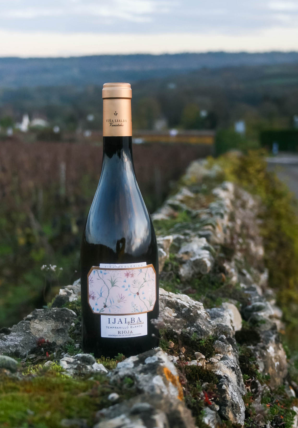 Birth of a New Varietal: Tempranillo Blanco – Refined Society